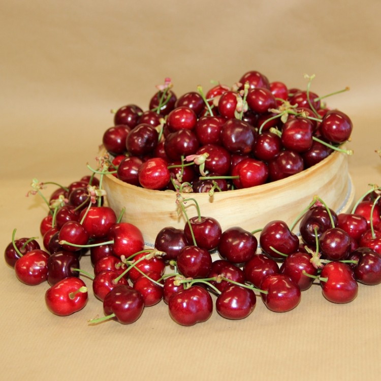 Proença-a-Nova Origem